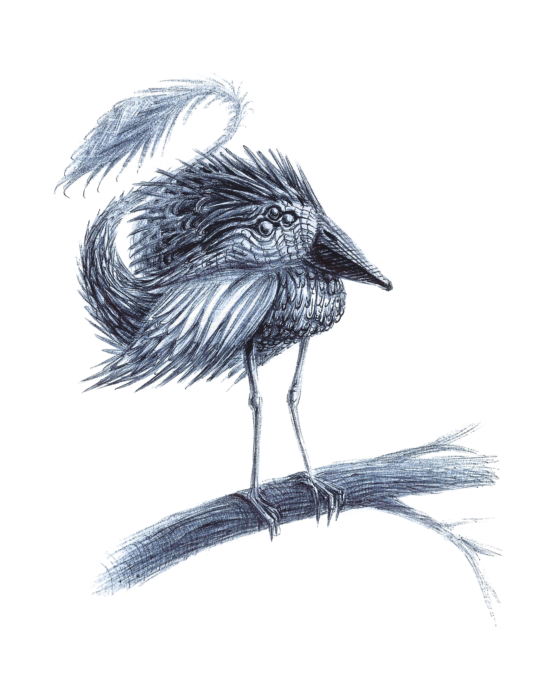 Strange Bird 01 | DMT-Nexus forum